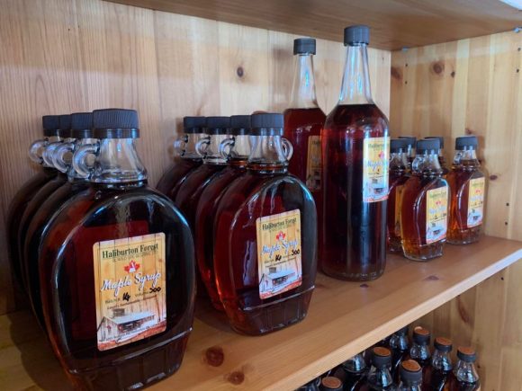 Maple Syrup – Haliburton Forest & Wild Life Reserve Ltd