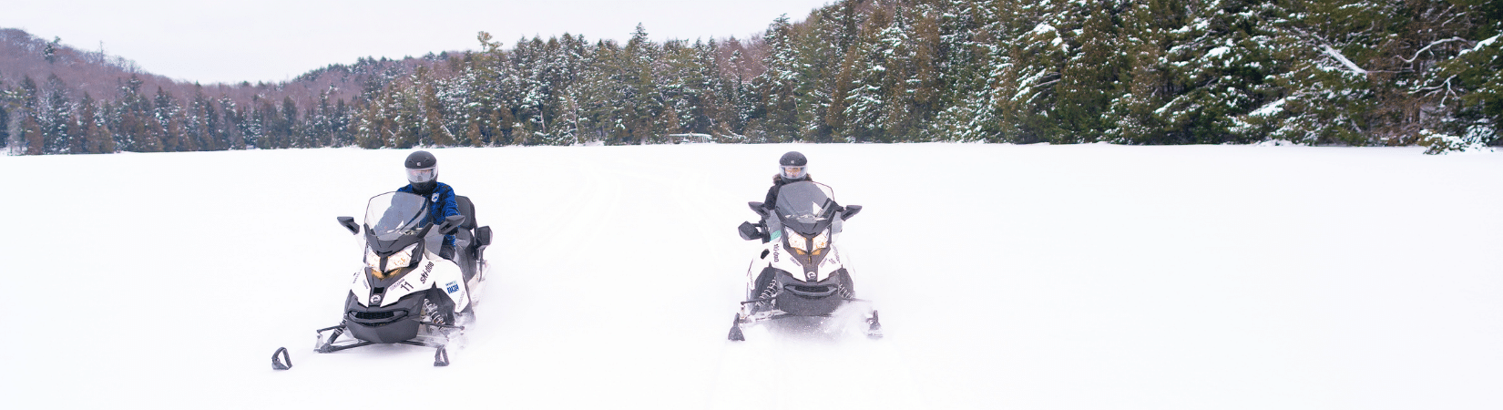 Web Banner – Snowmobile Rental – Haliburton Forest & Wild Life Reserve Ltd