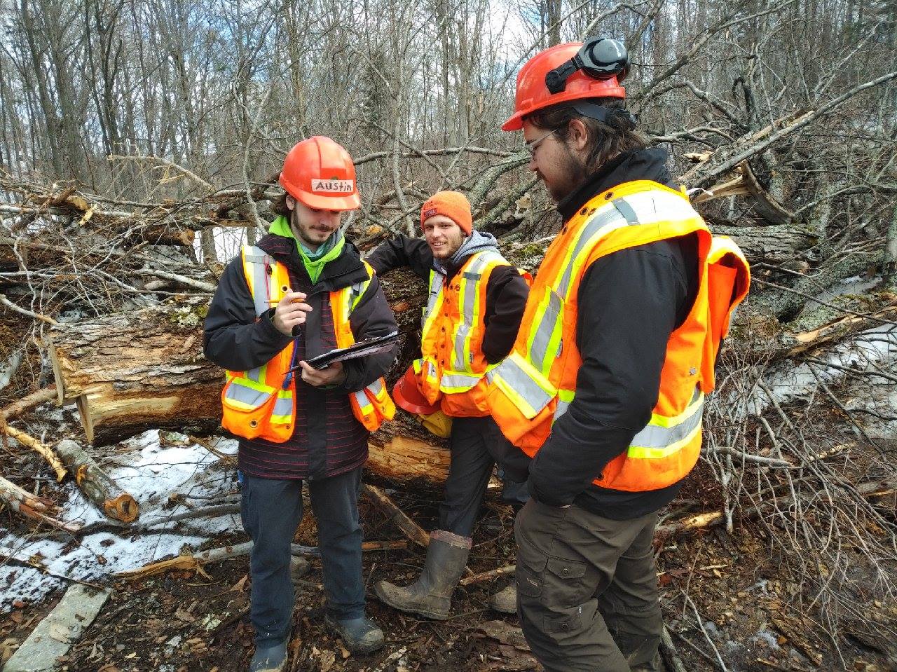 Foresters – Haliburton Forest & Wild Life Reserve Ltd