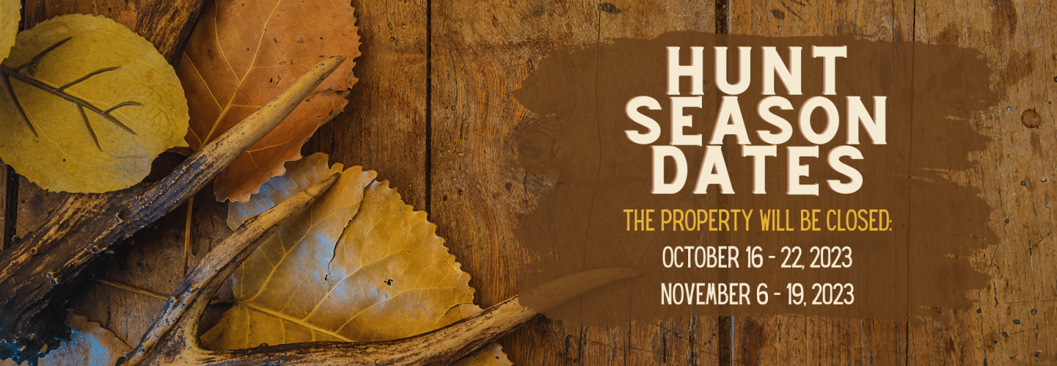 Home - Haliburton Forest & Wild Life Reserve Ltd