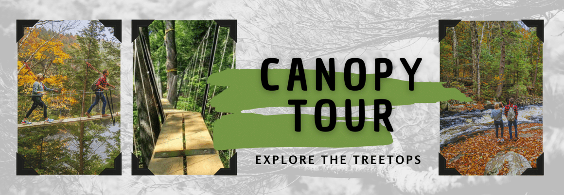 Haliburton Forest & Wild Life Reserve Ltd – Ontario's Outdoor Adventure ...