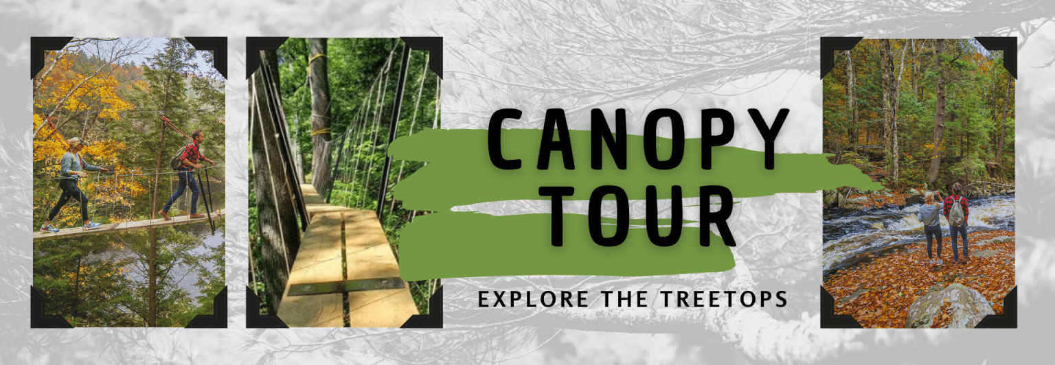 Haliburton Forest & Wild Life Reserve Ltd – Ontario's Outdoor Adventure ...